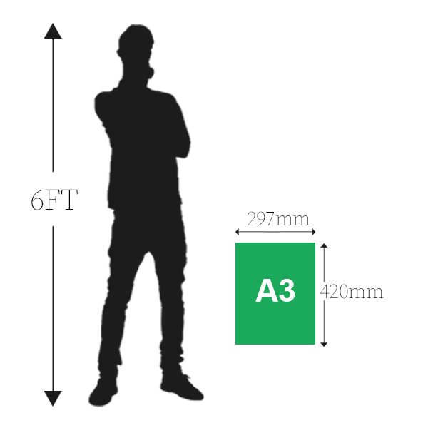 poster size in pixels a3